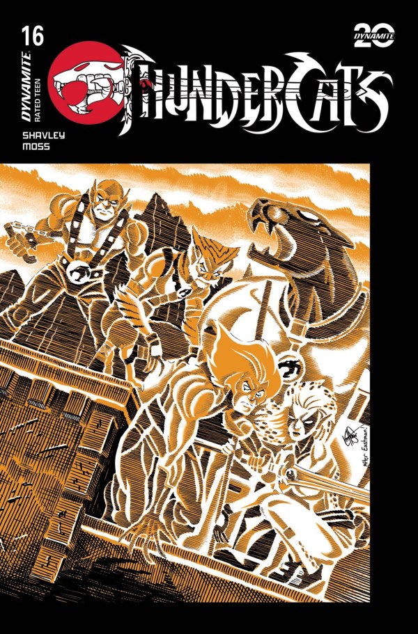 ThunderCats #16Ken Haeser TMNT Homage Cover – Comics Etc.